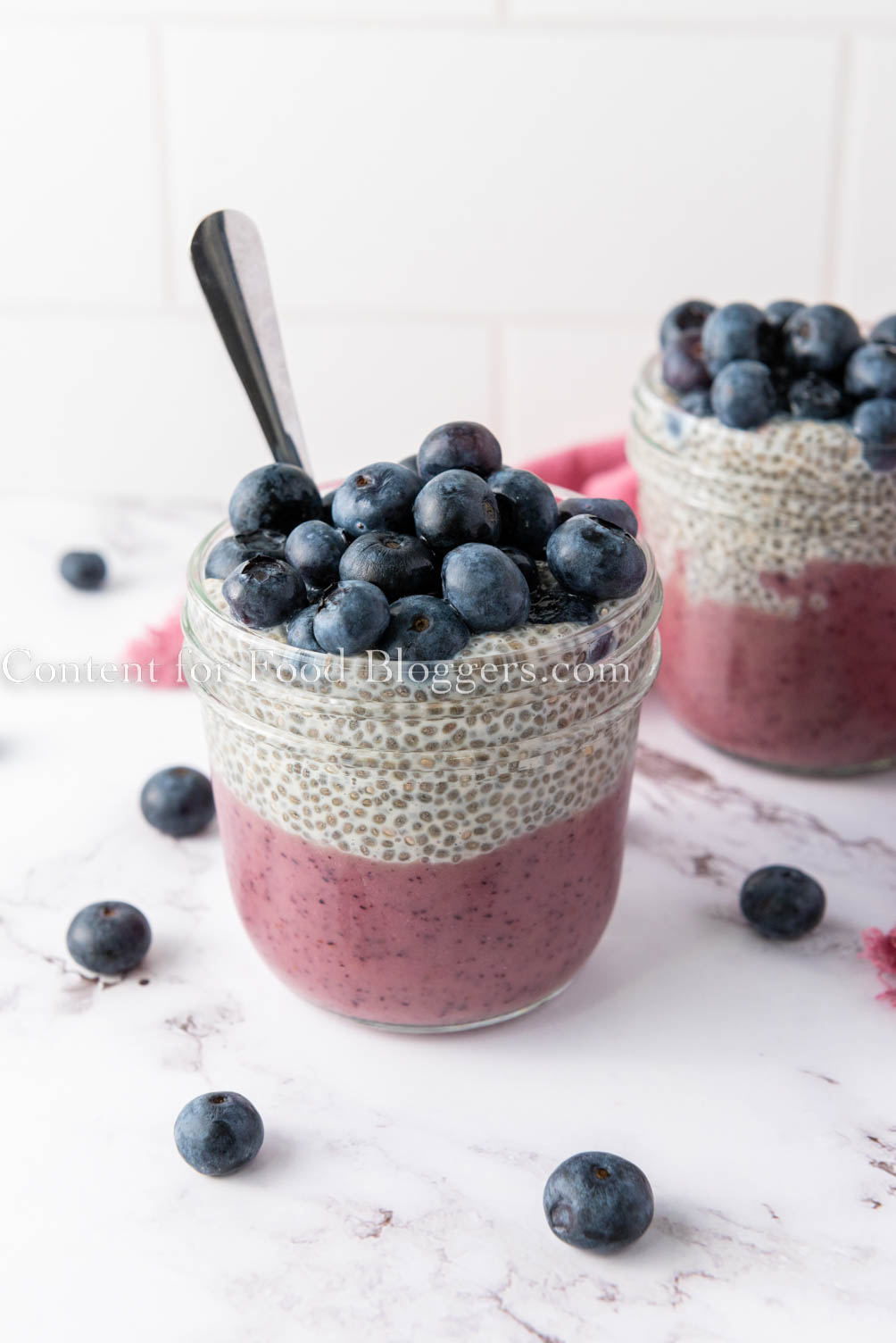 PLR Recipe - Vegan Blueberry Chia Pudding - Content For Food Bloggers