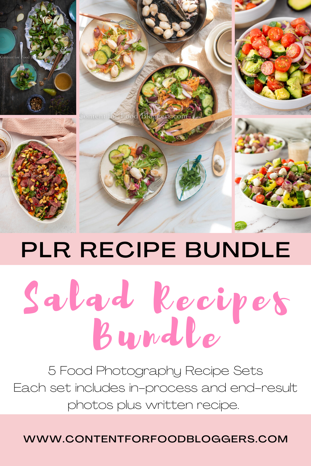 PLR Bundle - Salads Recipes Bundle - Content For Food Bloggers